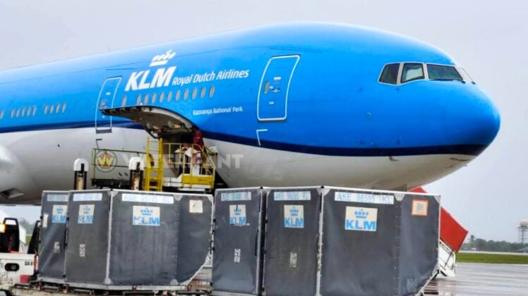 Geen brandstoftekort op Zanderij; betalingsruzie achter uitwijking KLM ...